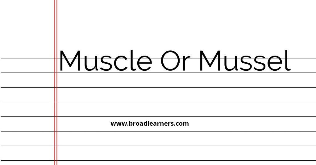 Muscle or Mussel - Common Grammar Mistake - [word] or [word ...