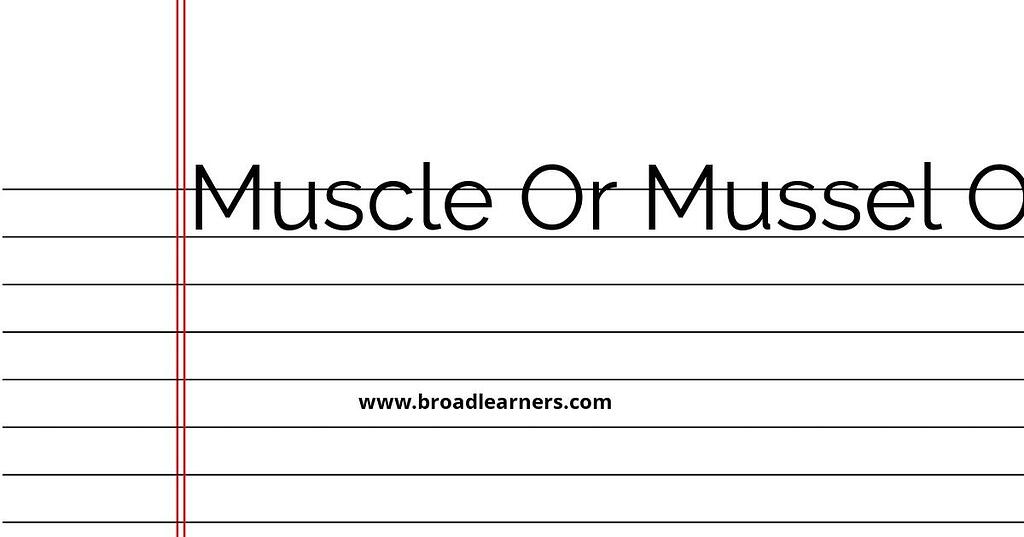 Muscle or Mussel or Muscle - Common Grammar Mistake - [word] or [word ...